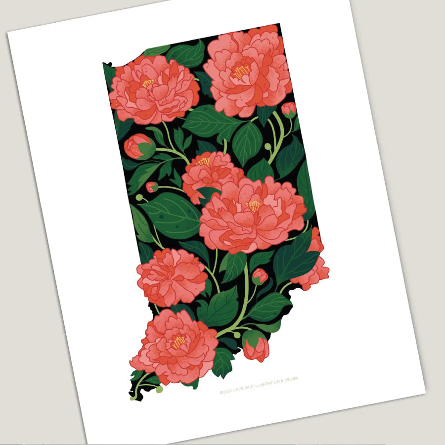 On the Map – Lucie Rice Illustration and Design